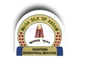 GI Tag Of Assam List 2024